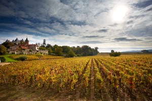 The secrets of la Côte Chalonnaise – WineTimeFrance Cellar